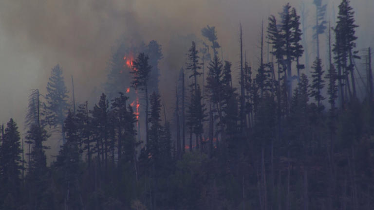 Small medical plane crashes in New Mexico mountains, killing all 4 ...