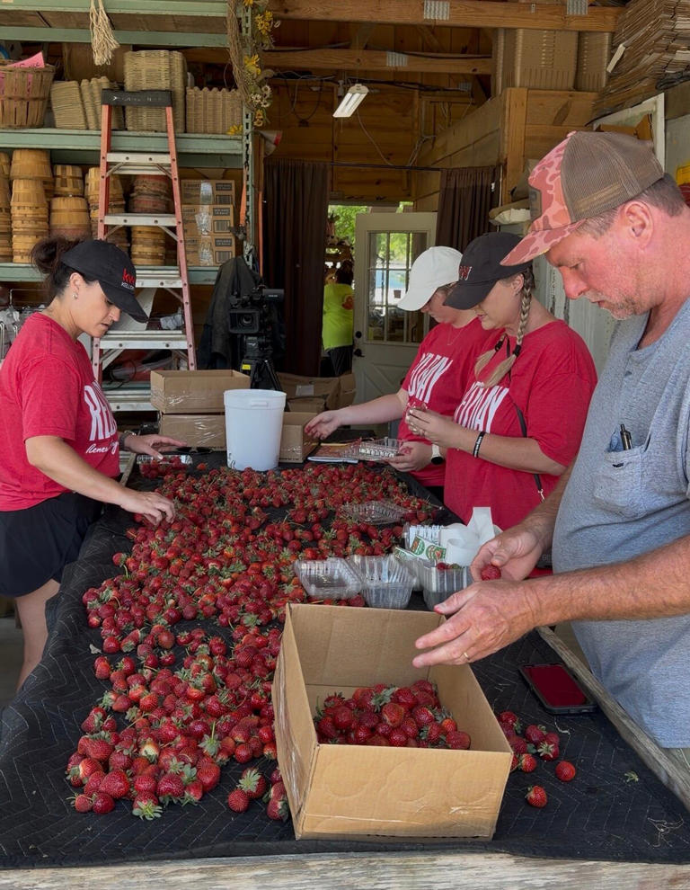 Keller Williams Realtors volunteer at Calhoun farm as part of RED Day