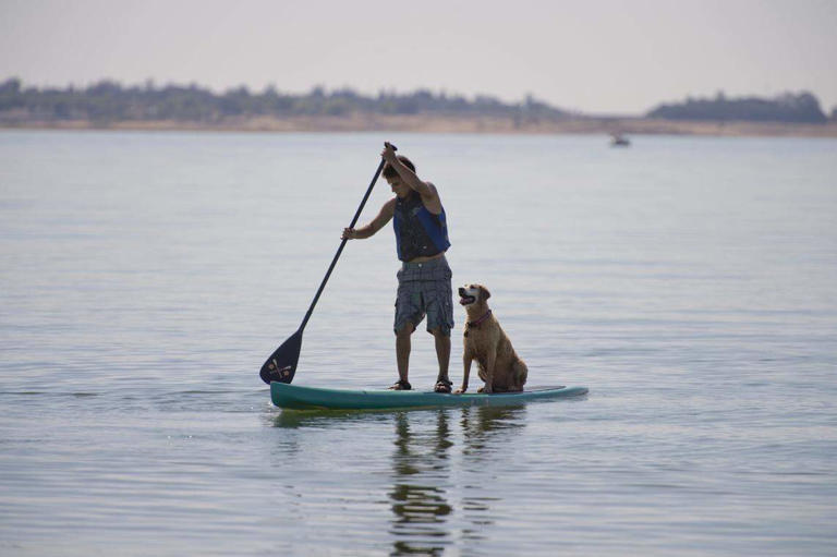 California state park is top spot for ‘dog-friendly adventures’ where to go