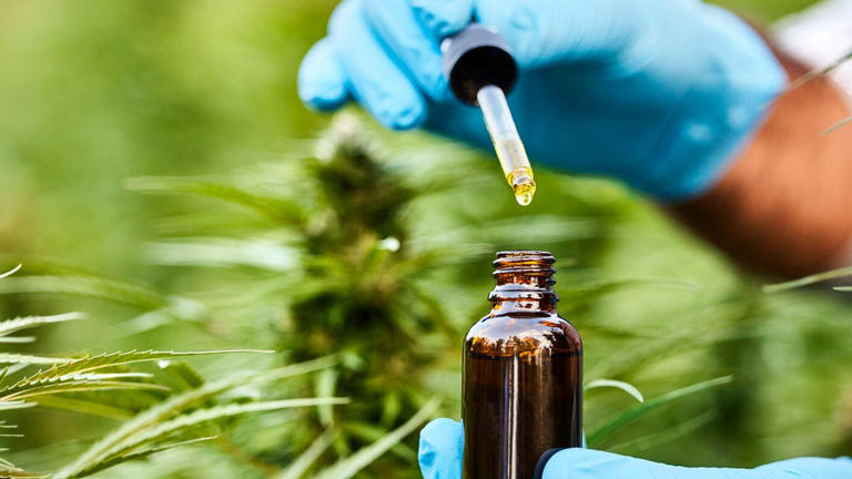 Georgia patients, dispensaries hopeful new medical marijuana expansion ...