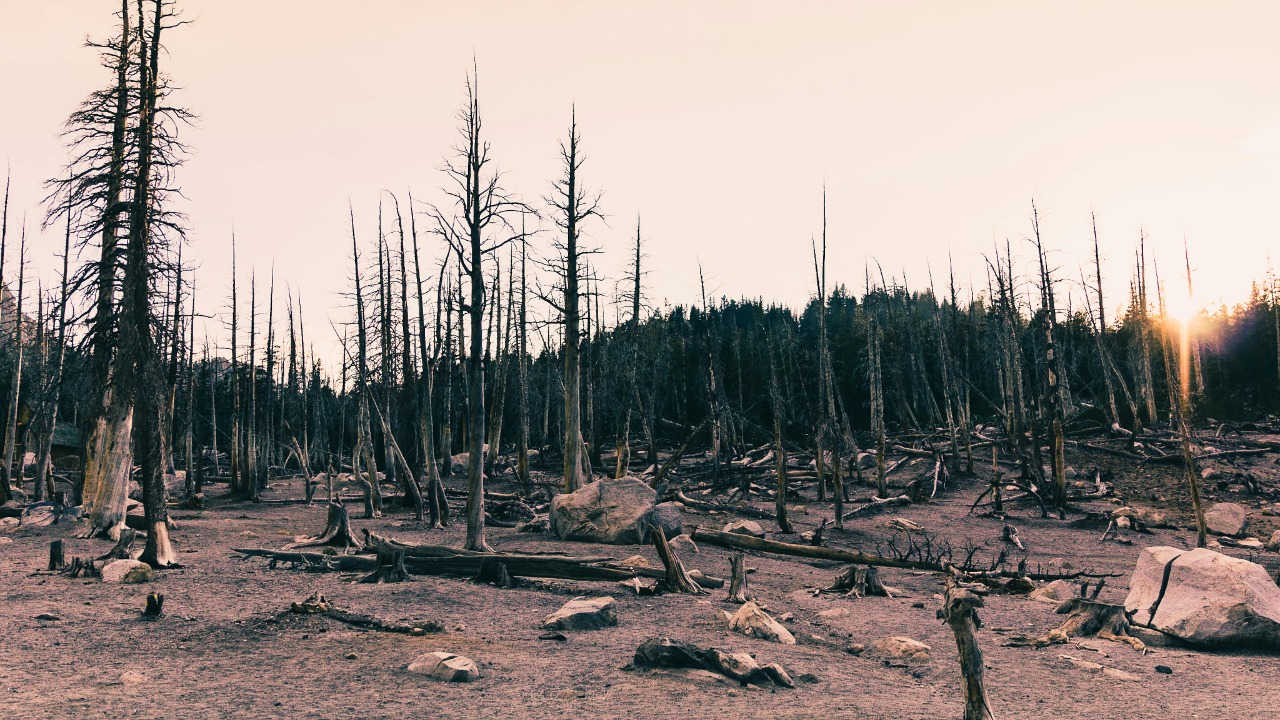 Drought now covers more than half the United States and affects 155.7 ...