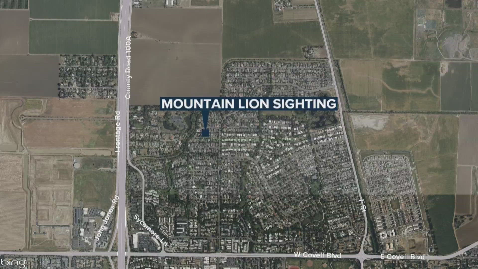 Davis police warn residents after mountain lion spotted near bike path