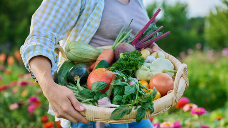 You can absorb more calcium from these vegetables than milk (but it's ...