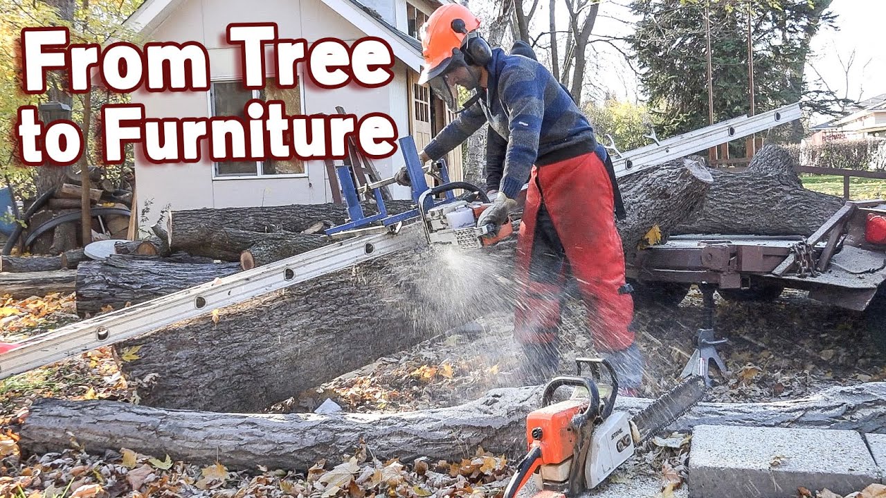 Woodworking magic with walnut trees