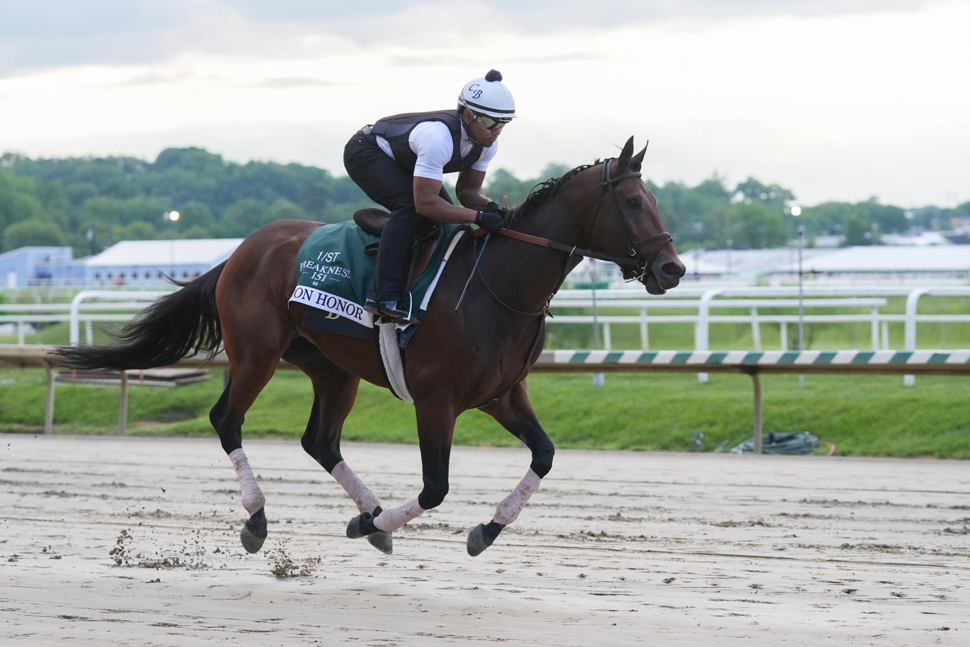 2026 Preakness Stakes horses, odds, predictions, post draw: Expert who ...