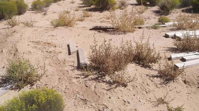 Stunning before-and-after photos show degraded desert floodplain reborn ...
