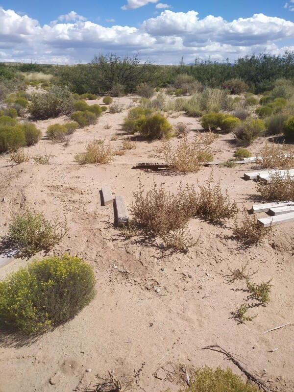 Stunning before-and-after photos show degraded desert floodplain reborn ...