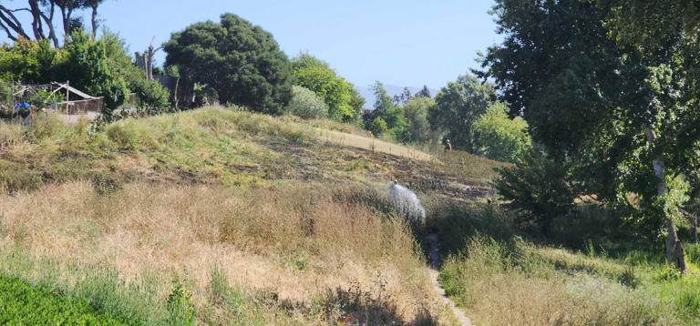 Small fire reported near riverbed in Salinas