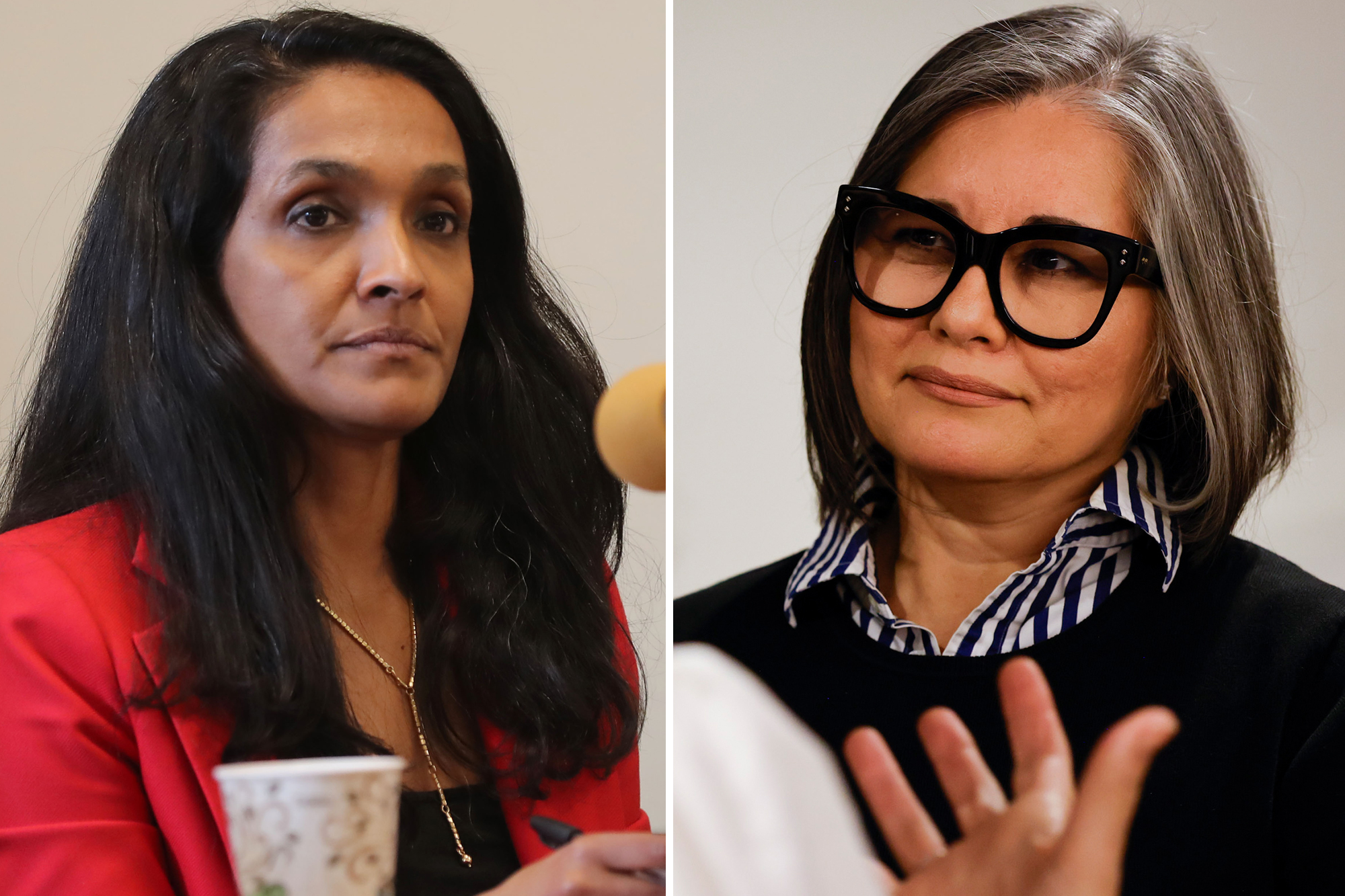 LA mayoral hopeful Nithya Raman proposes backyard BBQ ban