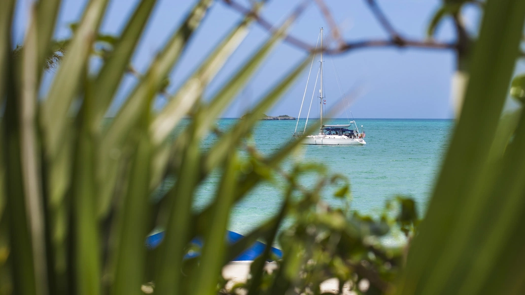 Cat Island’s charm for slow travel lovers