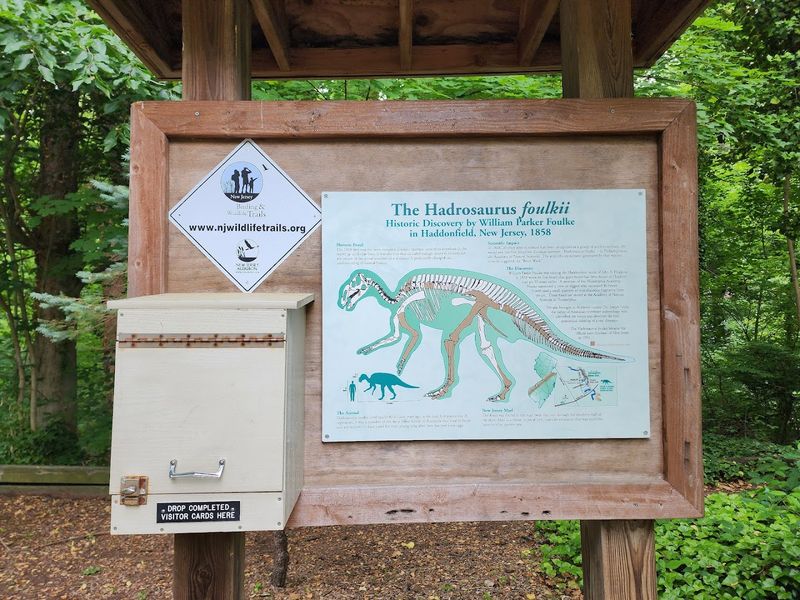 New Jersey’s 25-foot hadrosaurus was the first nearly complete dinosaur ...