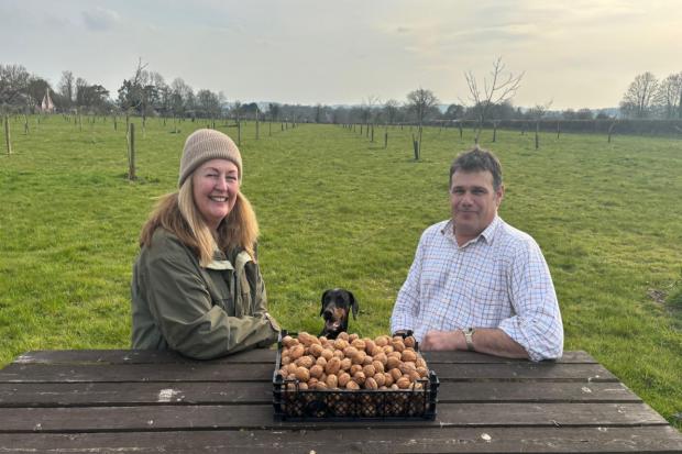 Family farm to plant thousands of trees to boost wildlife