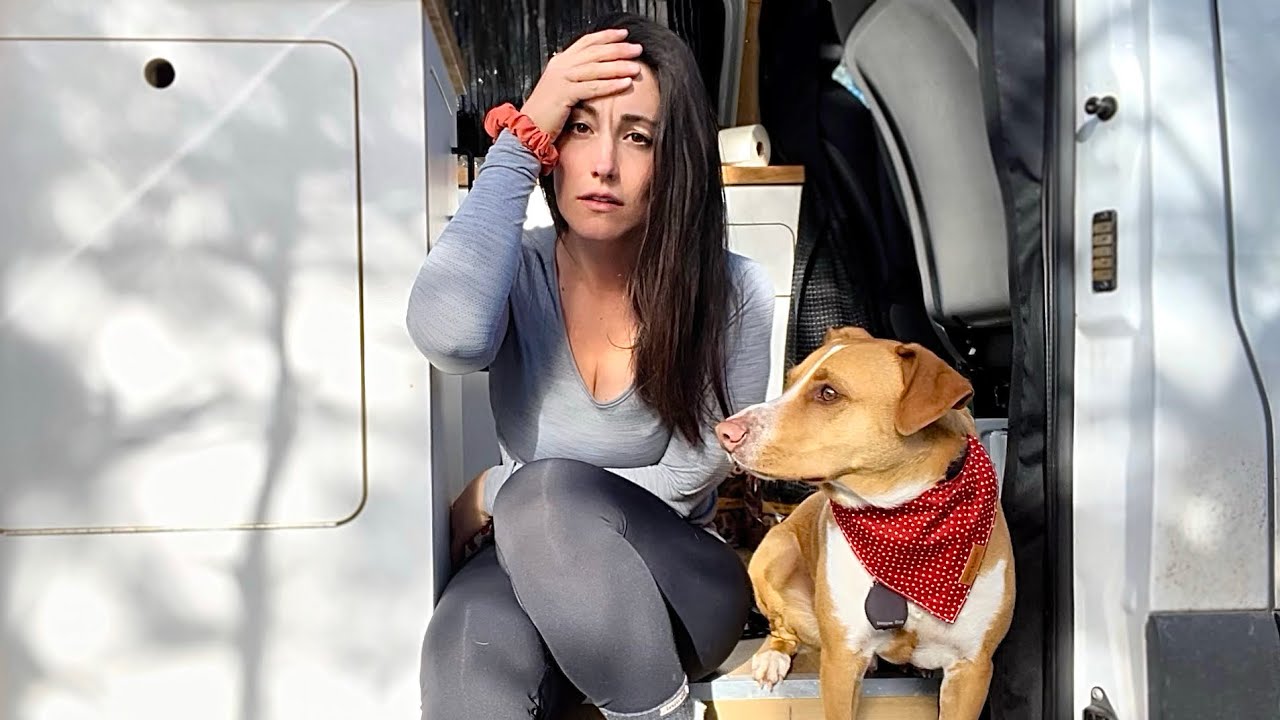 Sick and alone in a van: My story