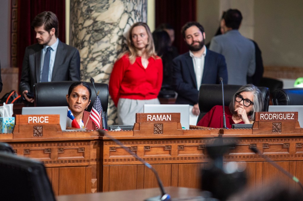 LA mayoral hopeful Nithya Raman proposes backyard BBQ ban