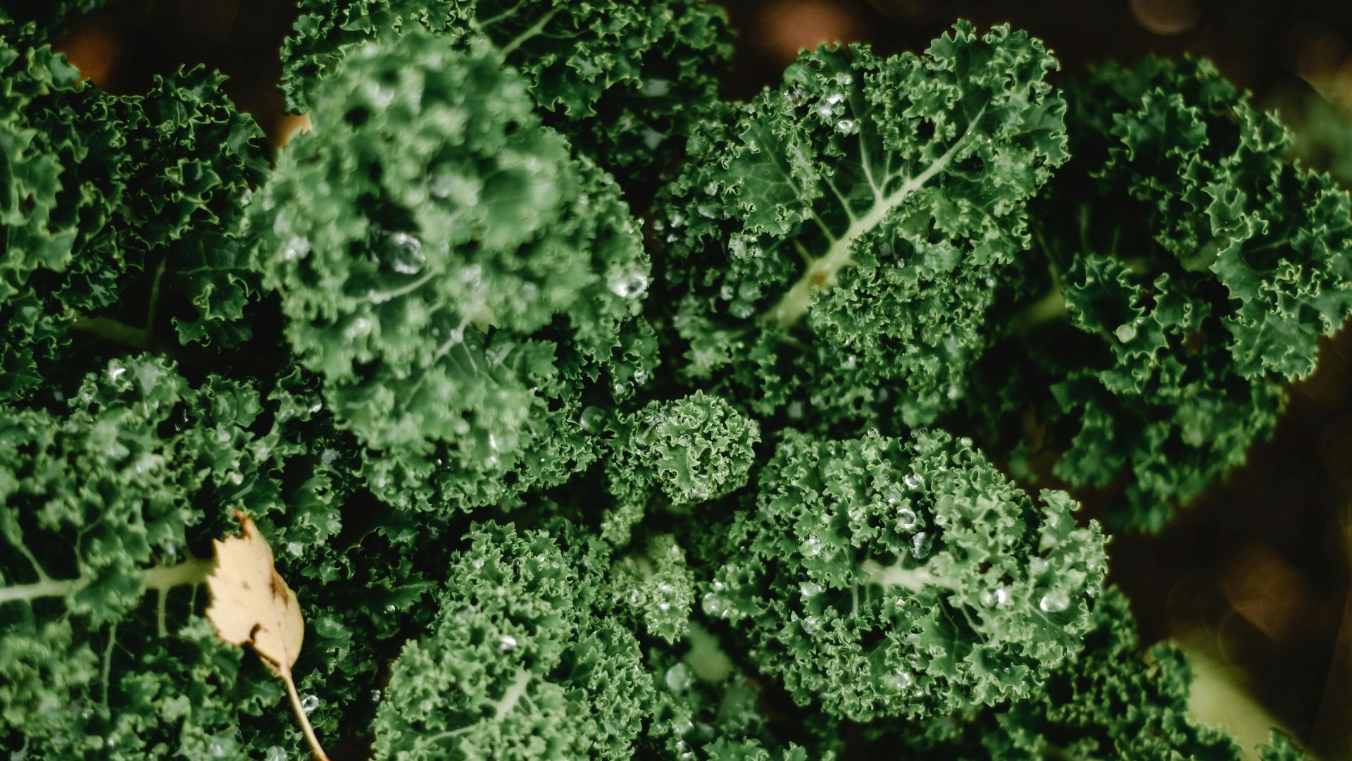 20 liver-friendly foods to add to your weekly rotation