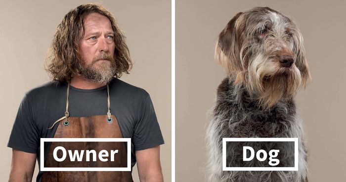 Resemblance is uncanny: 10 dogs and their owners side by side