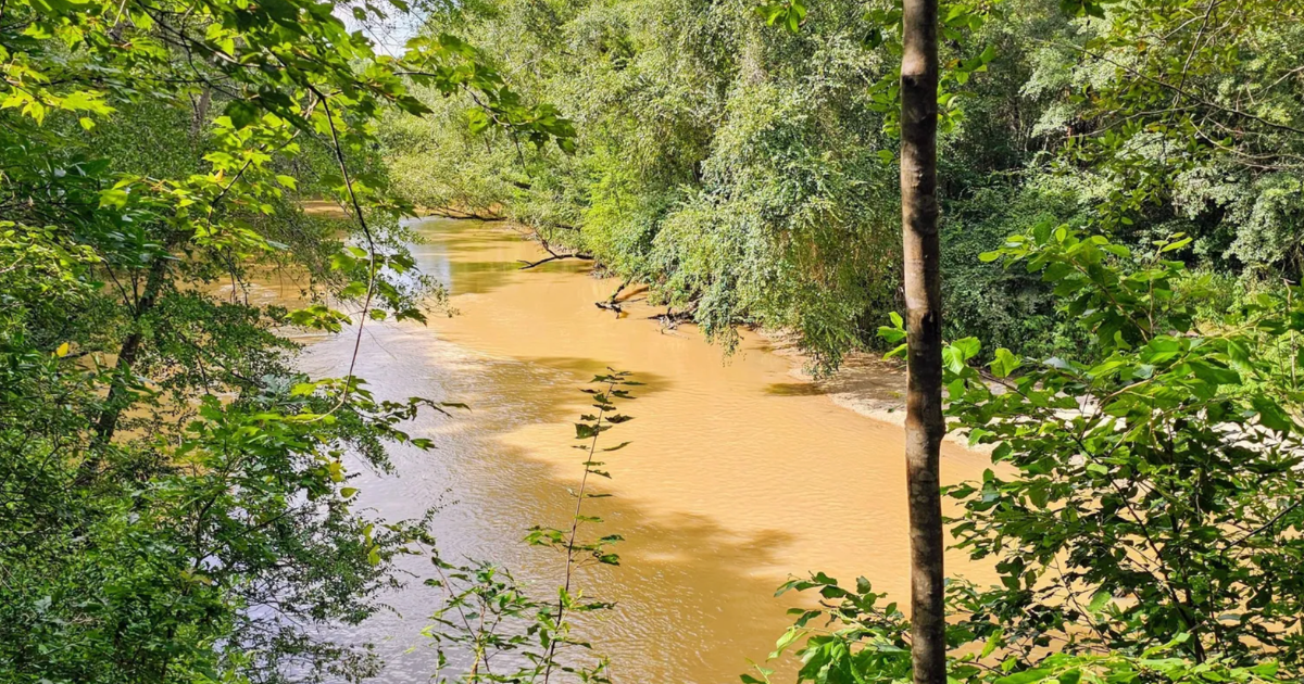 Skip the hike - this Mississippi trail is even better