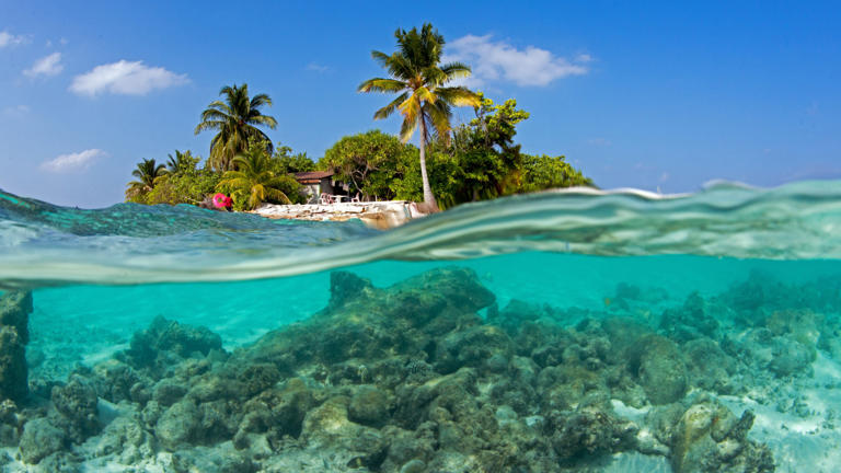 Five divers die while exploring underwater caves