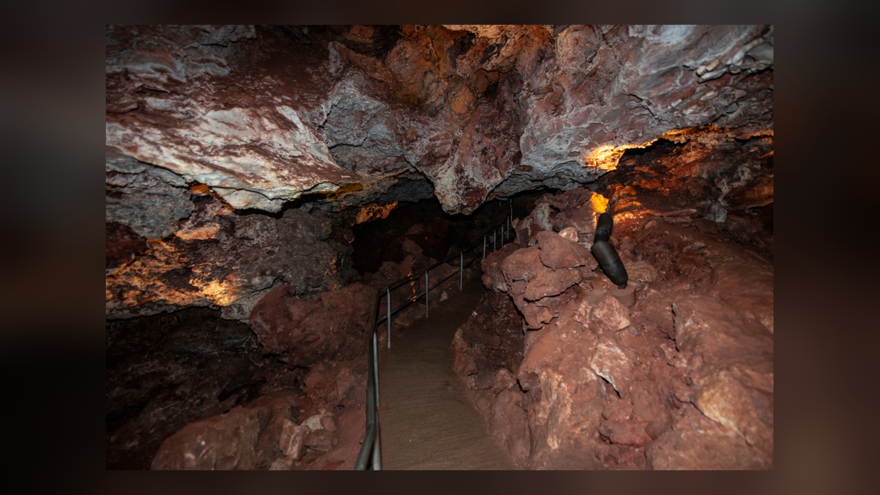 Below South Dakota’s bison prairies hides one of the longest cave ...