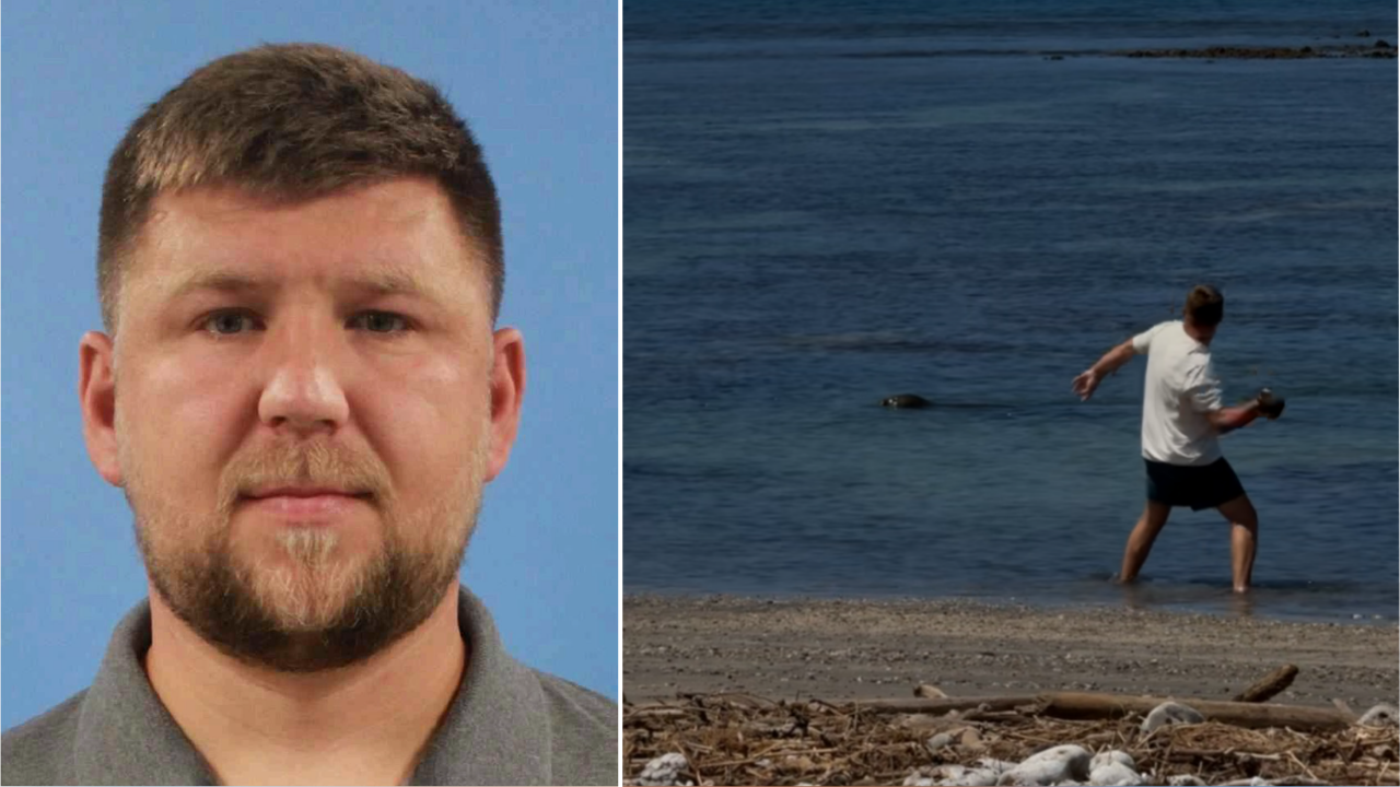 WA man released after Seattle court hearing for monk seal attack