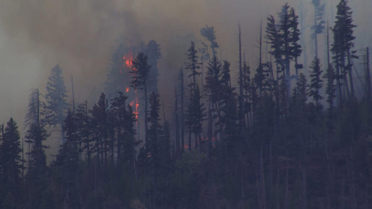 Small medical plane crashes in New Mexico mountains, killing all 4 ...