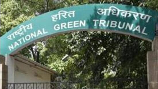 NGT orders FIR, compensation over illegal felling of 40 trains by Delhi ...