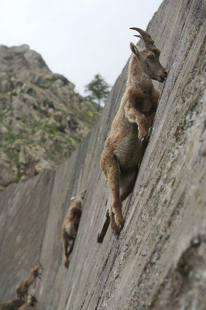 56 gravity defying things that made people look twice