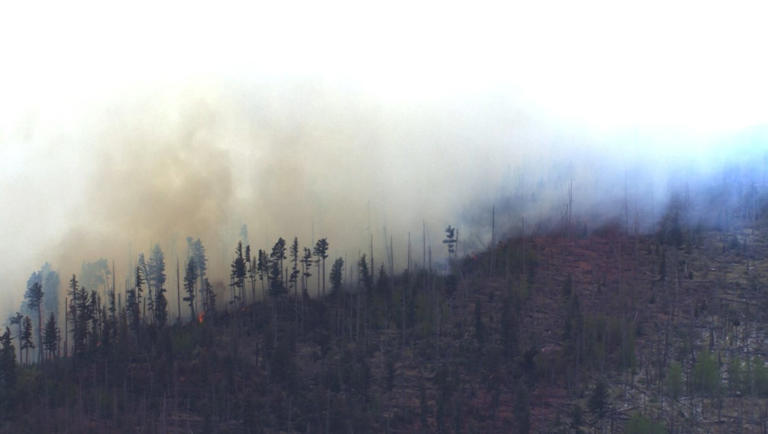Small medical plane crashes in New Mexico mountains, killing all 4 ...