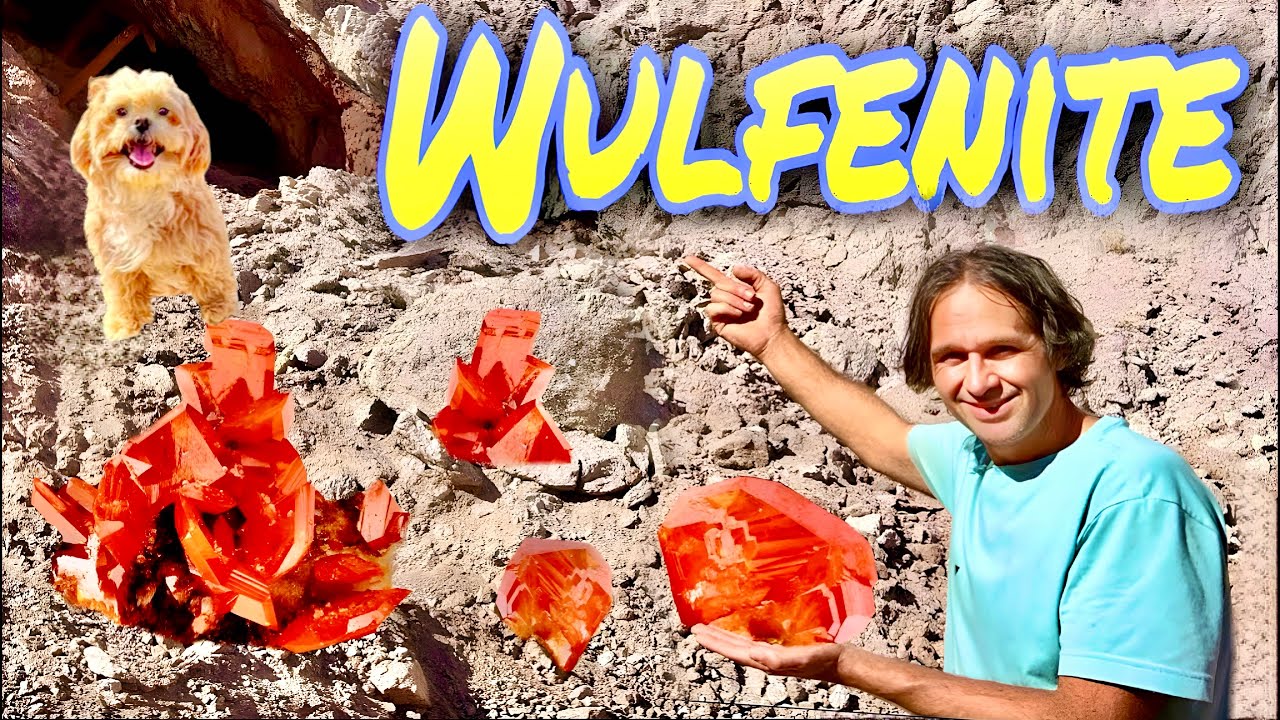World famous Red Cloud Mine wulfenite | Finally made it there!