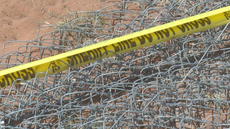 ‘I was shaking, visibly shaking’: Neighbor reacts to Midland murder