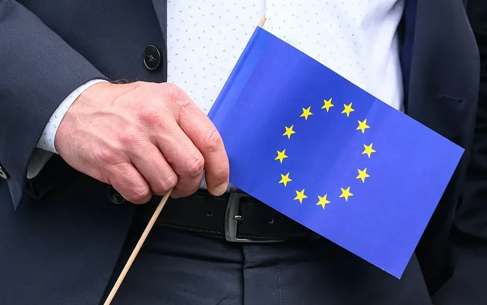 Greens MEP warns EU survival at risk without unity