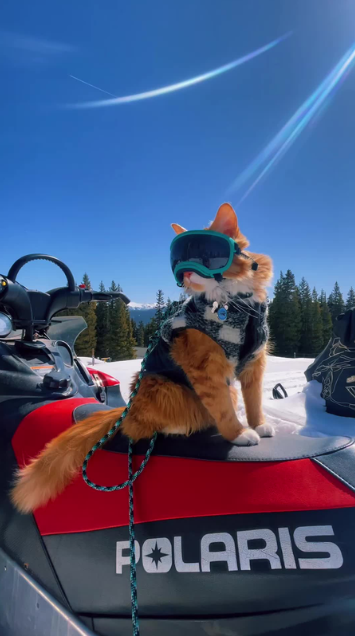 Cat skiing adventure turns into the perfect snow day
