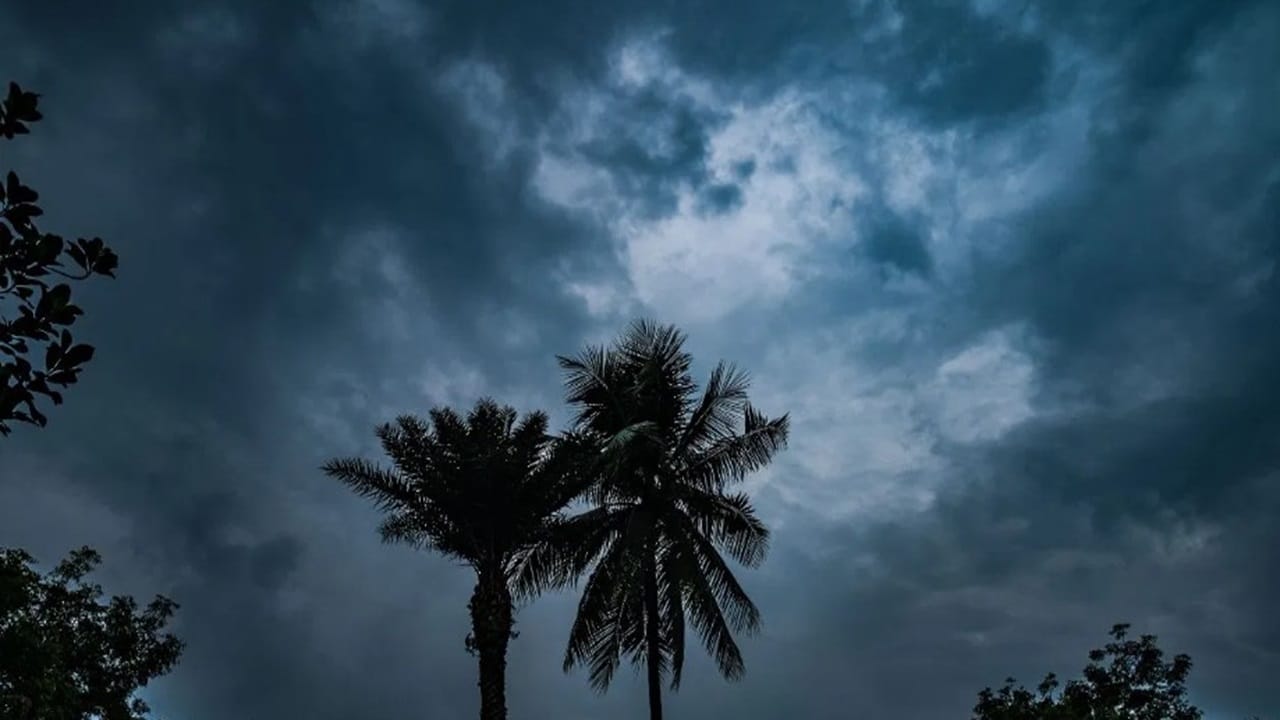 Tamil Nadu weather: Widespread rainfall expected across state till May 19