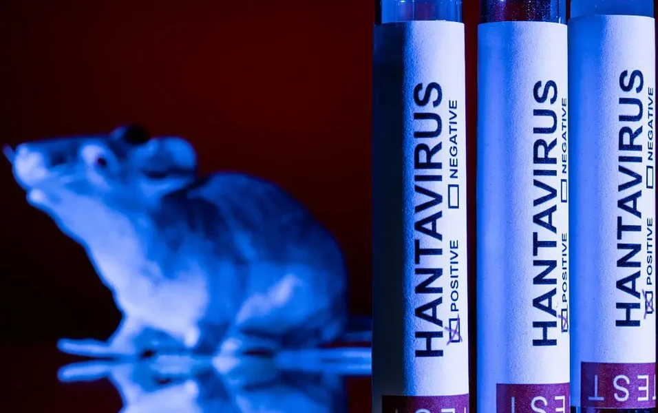 CDC boosts hantavirus outbreak team to 100 staff