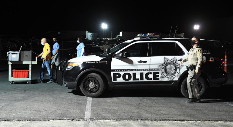 Las Vegas man charged in connection with cat drowning case