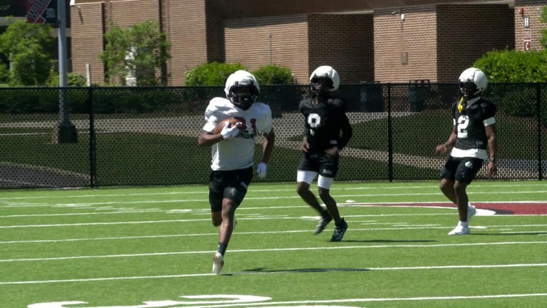 Dothan Wolves undergoing significant remodel ahead of 2026 season