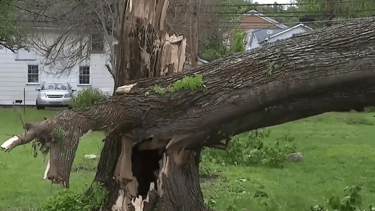 'It is a lot of tree:' Locals react to tree onto Perry County home roof
