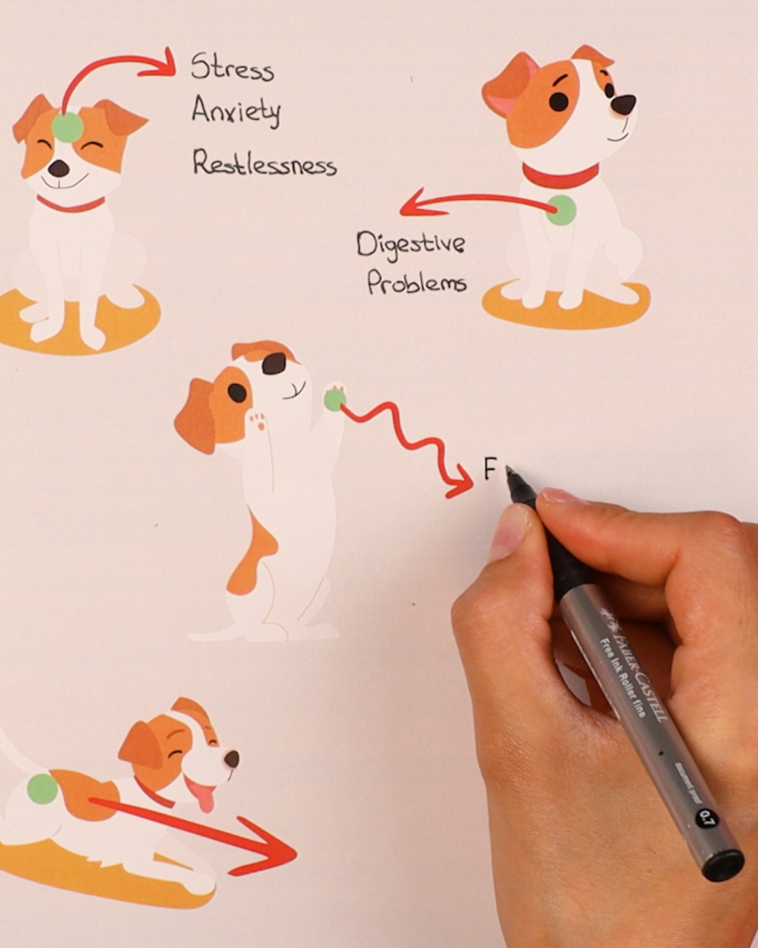 Guía de masajes para perros que te encantará 🐕