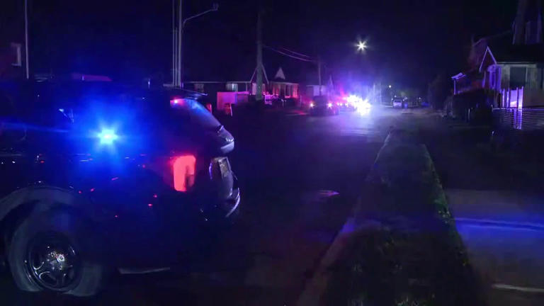 Suspect killed in Ecorse police shooting after domestic violence call