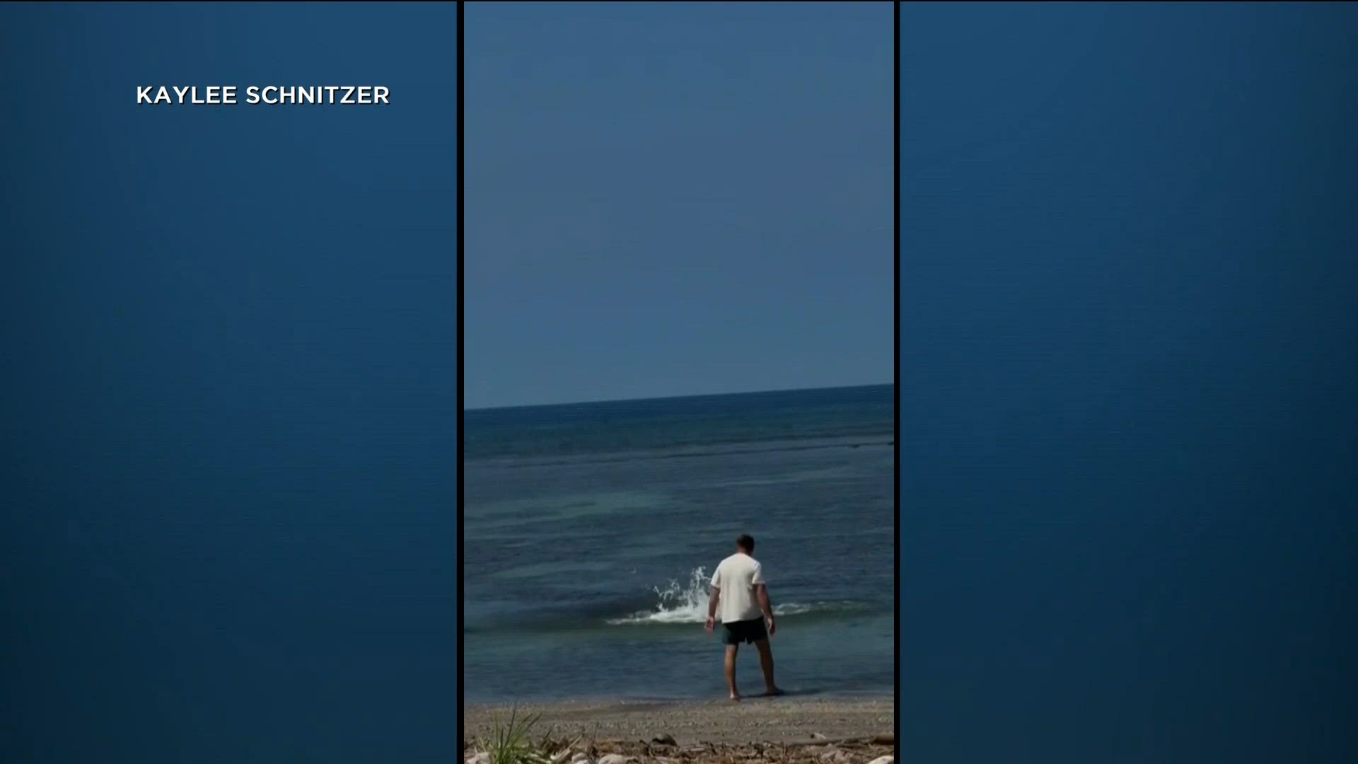 Man arrested for throwing a rock at monk seal in Hawaii