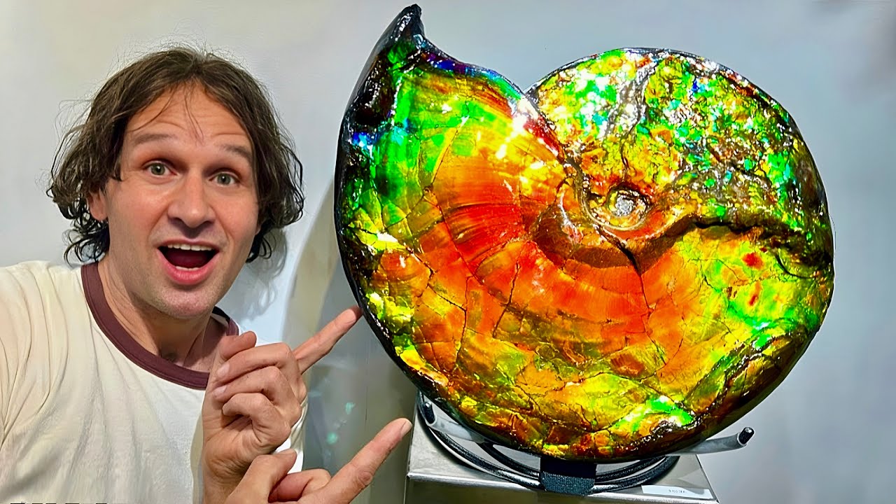 This is a fossil? | The Tucson gem shows will blow your mind! 🤯