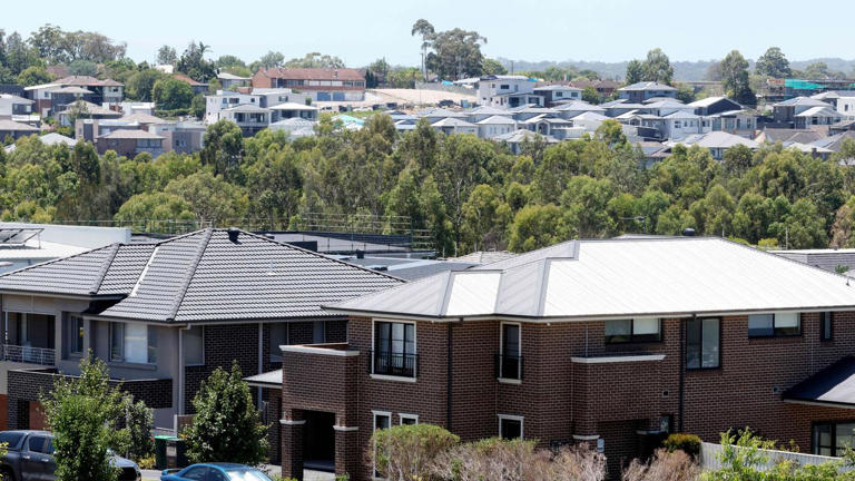 ‘Rip the guts out’: Albanese claims Coalition mum on tax cost