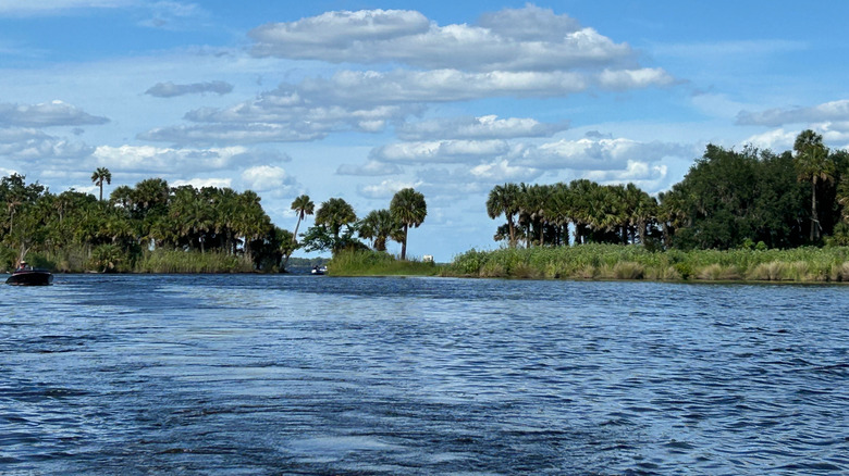 Situated between Orlando and Jacksonville is Florida's second-largest ...