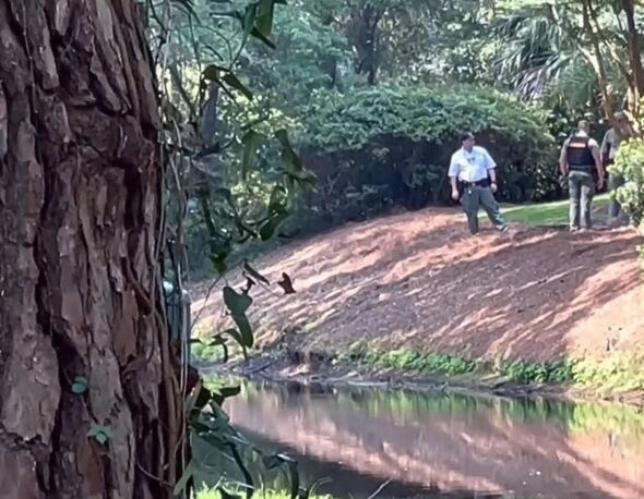 Horror as grandmother's foot and hand found in the stomach of a 10-foot ...