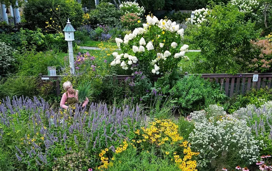 Backyard landscaping ideas to love year-round