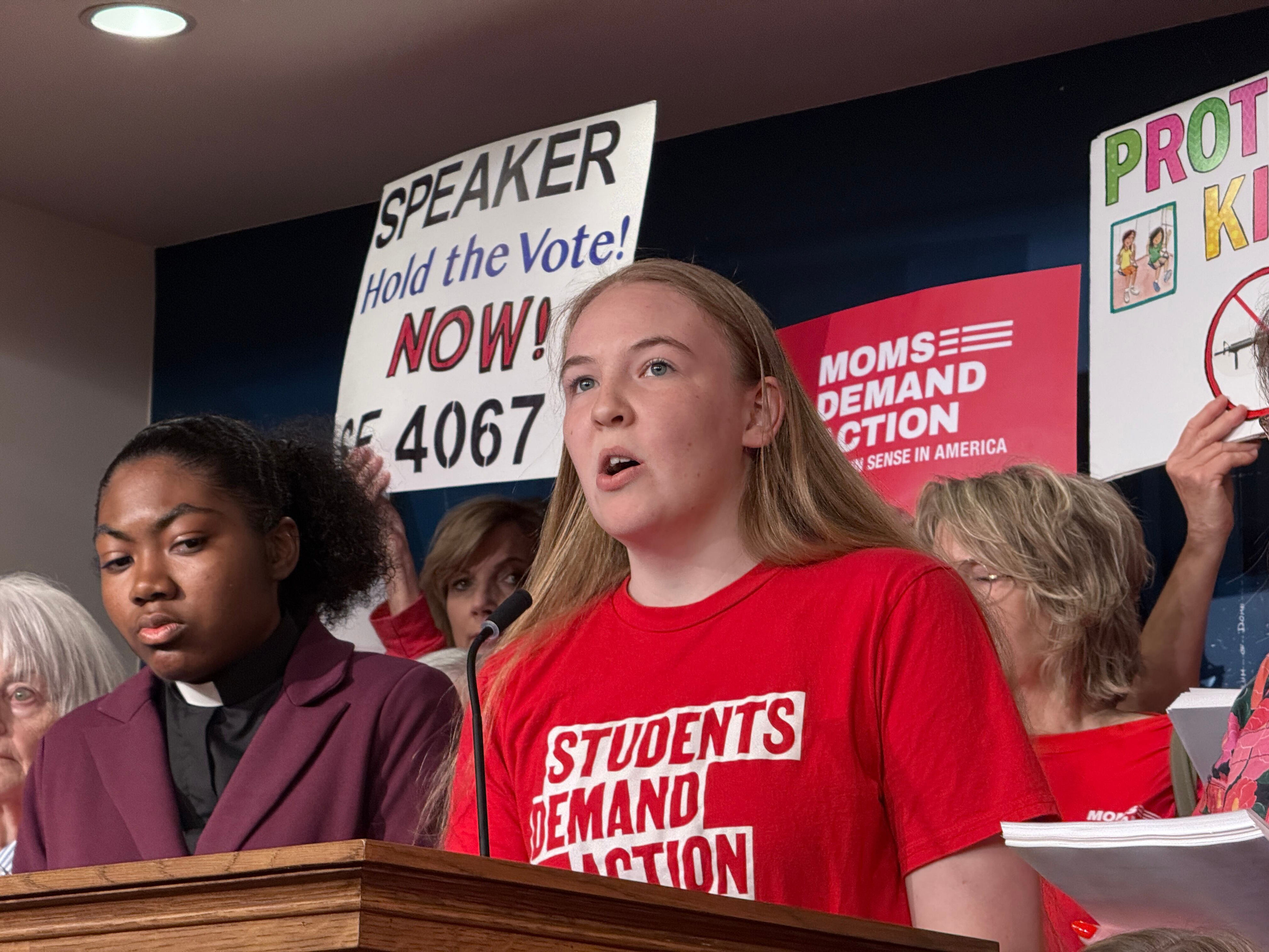 House DFL to engage in overnight sit-in as calls to vote on gun control ...