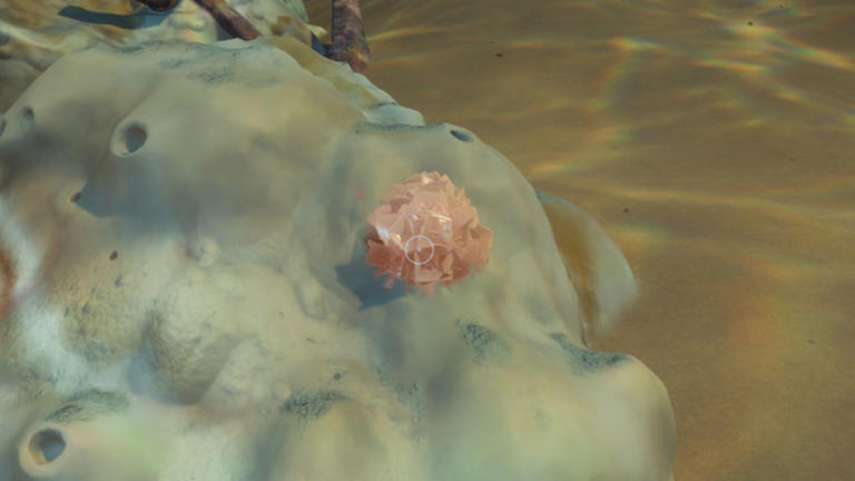 How to get salt in Subnautica 2
