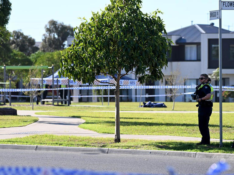 Wild details after body found at playground