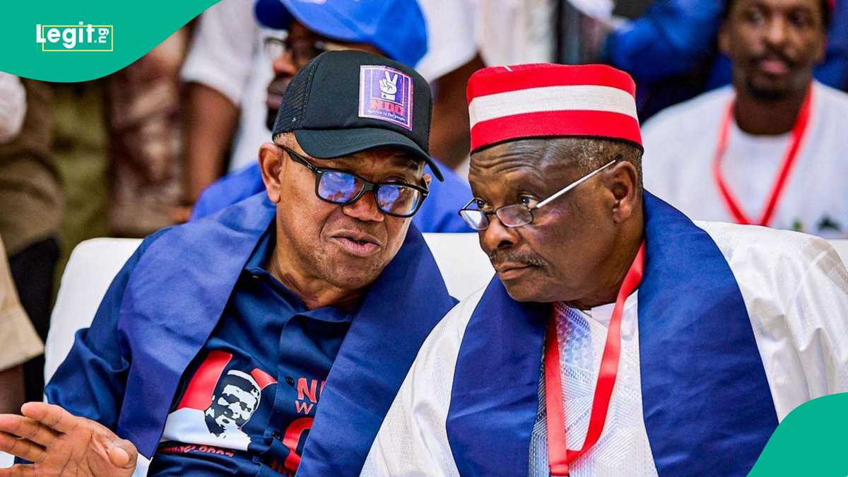 What Obi and Kwankwaso agreed to do in 2031 emerges as top ally opens up