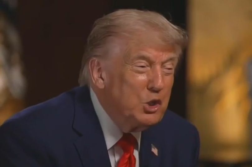 'Pathetic troll' Donald Trump hits out at yet another female journalist ...